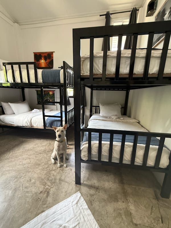 Nok Guesthouse & Hostel - Koh Tao