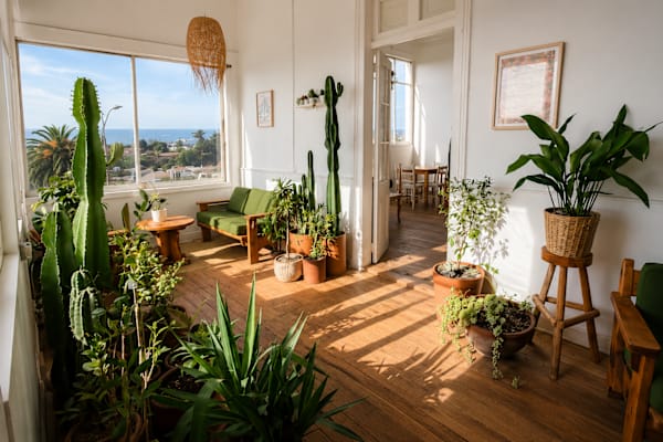 Silvestre Hostel - Pichilemu