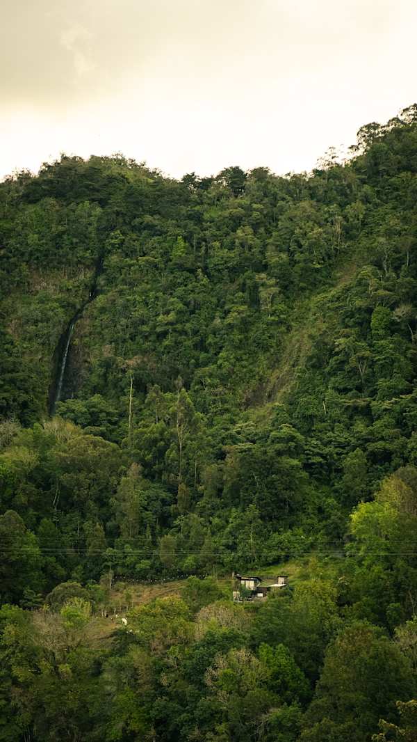 Trails @ Equilibrium - Jericó