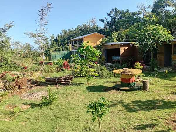 Mystic Moment - Negril