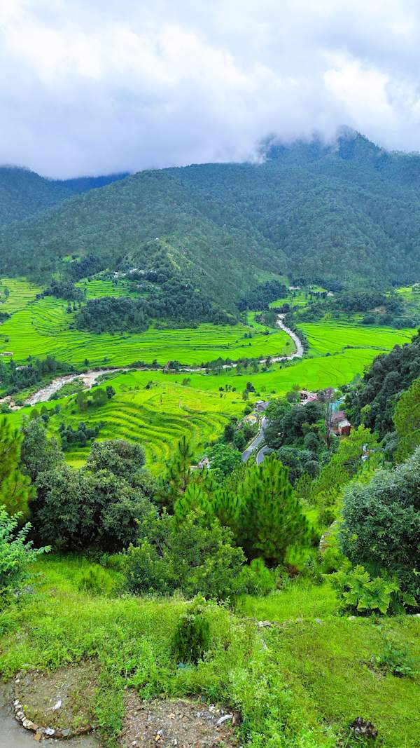 The Chimes House - 北安查爾邦