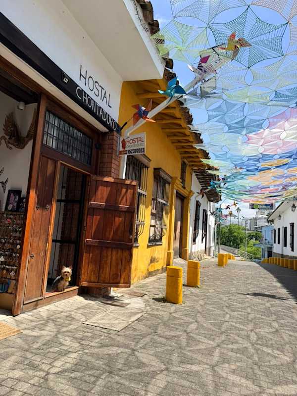 Chontaduro San Antonio Hostal - Cali