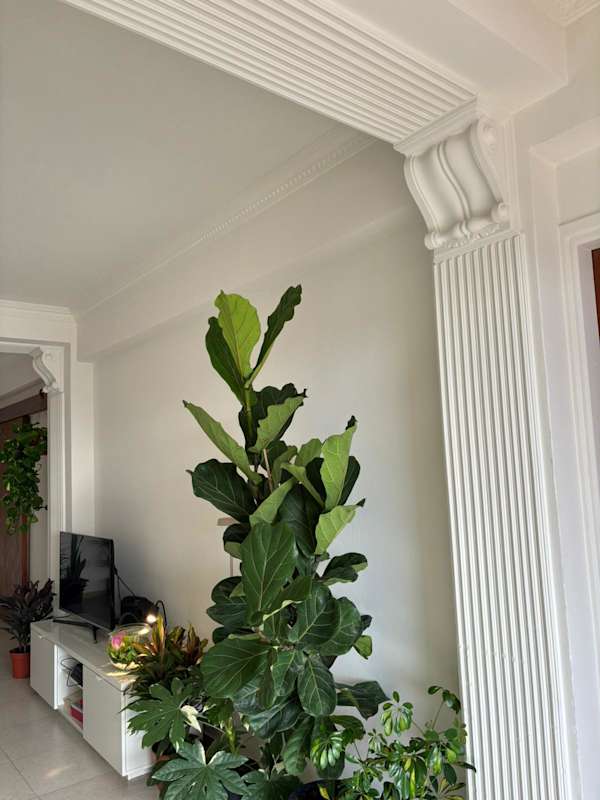 Travelers’ Paradise | Bed In 4-bed Hostel - Larnaca