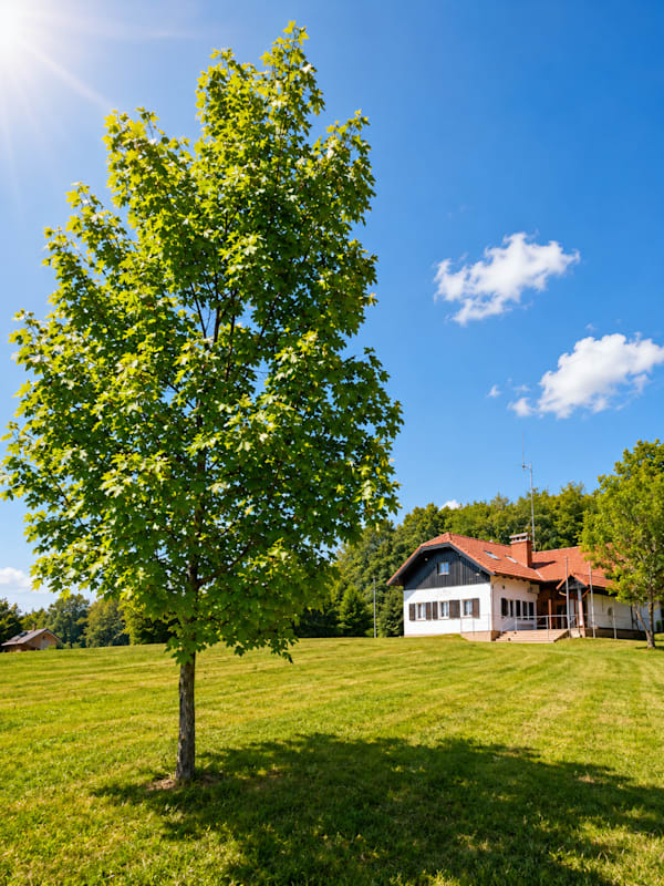 Hostel Vaneča - Slovenia