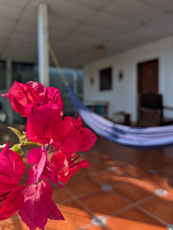 Casa Liz Hostal - Managua
