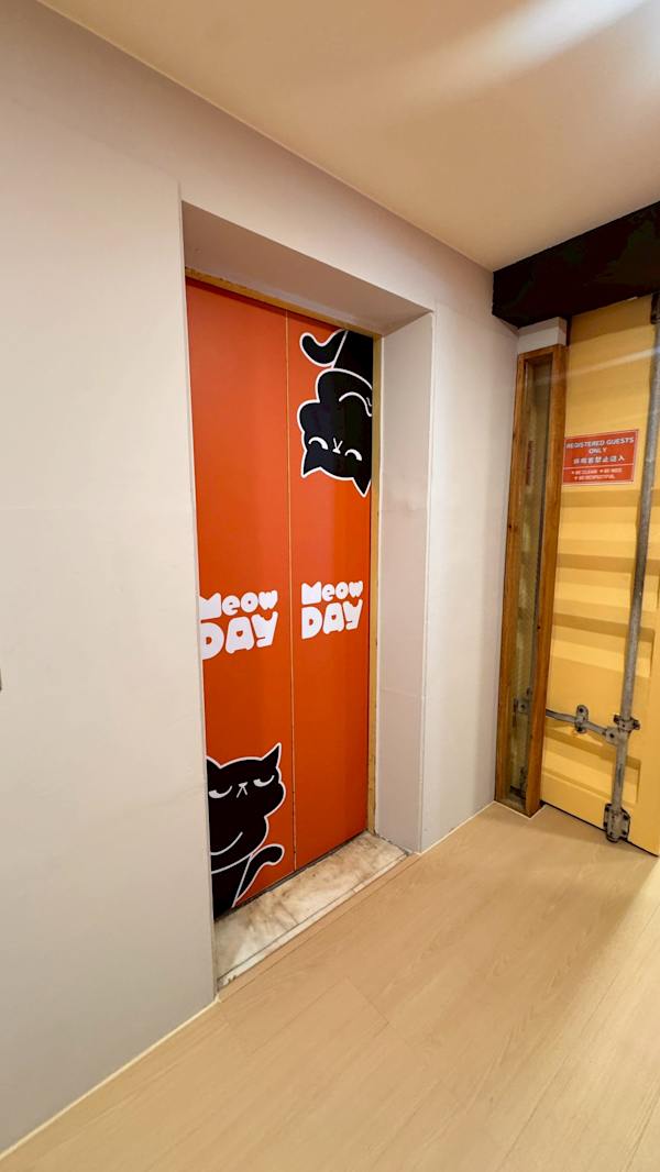 Meow Day Hostel - Taipei City