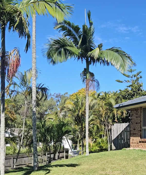 Aztec Mixed Share Accommodation - Brisbane