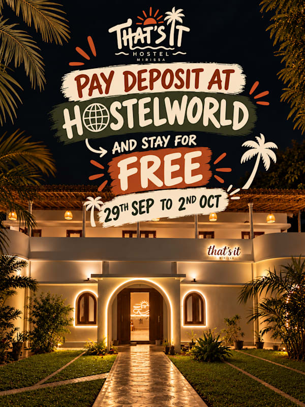 That's It (Hostel, Party, Jungle Gym & Co-work) - Mirissa