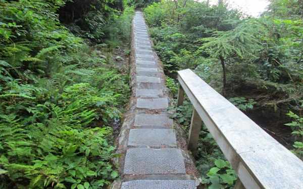 Westcoast Guesthouse - Sooke