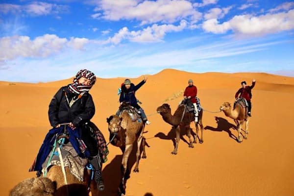 Desert Camel Trekking Camp - Maroc