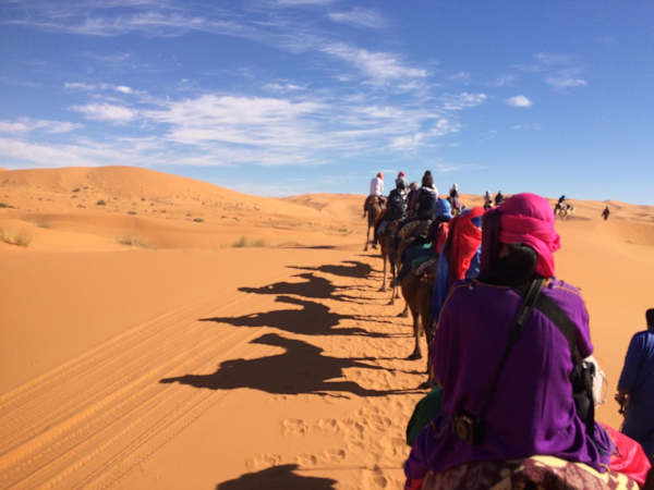 Desert Camel Trekking Camp - Marruecos