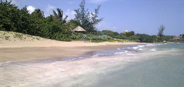 Irie Rest Guesthouse - Caribbean