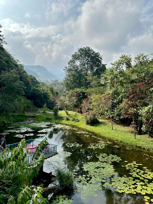 Charco Corazon - Jardín
