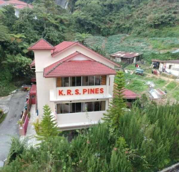 Krs Pines - Tanah Rata