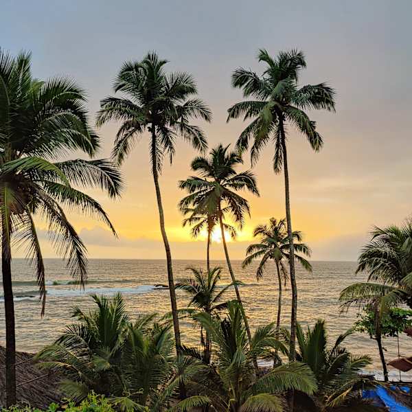 The Yuppi Hippi Hideout - Goa