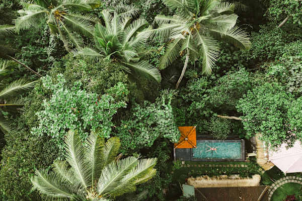 The Nest In Ubud - Ubud