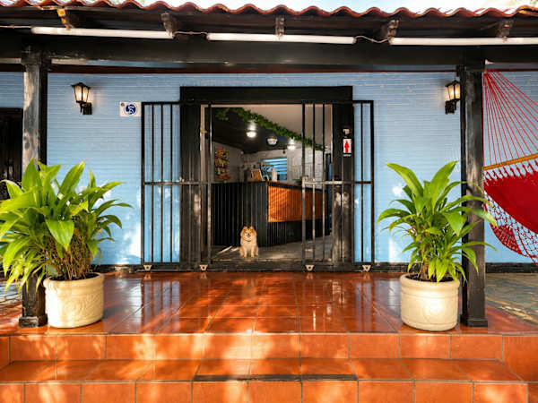 Oasis Hostel Managua - Managua