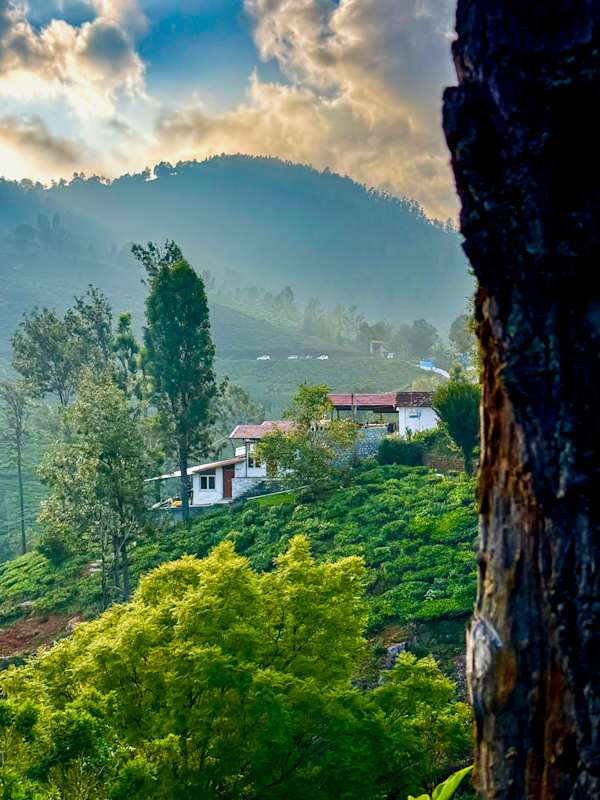 Mad & Nomad Backpackers Hostel - Coonoor