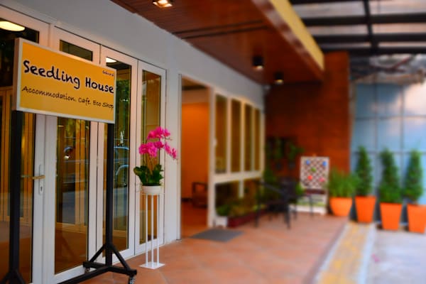 Seedling House - 파타야