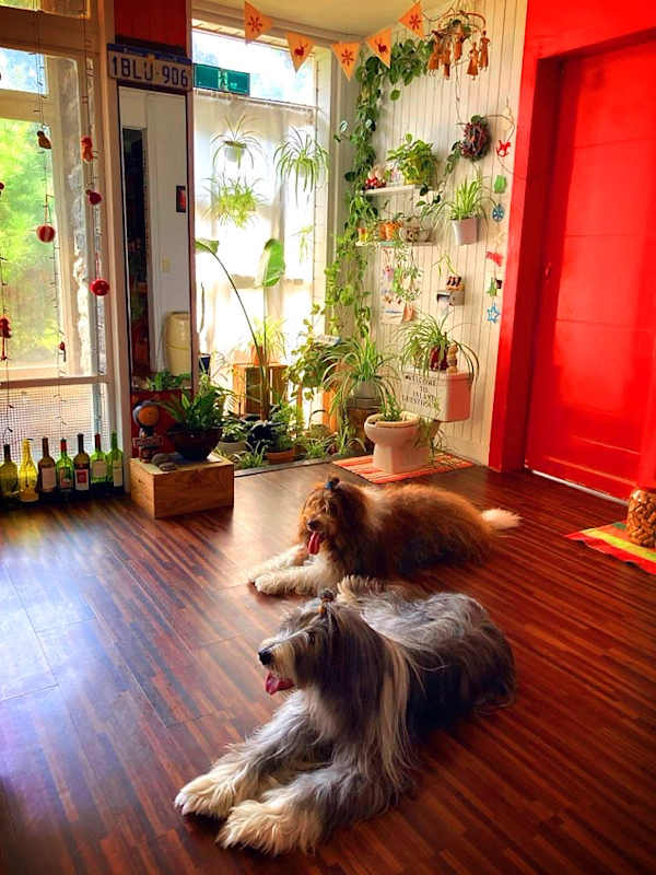 Island Guesthouse - Seogwipo-si