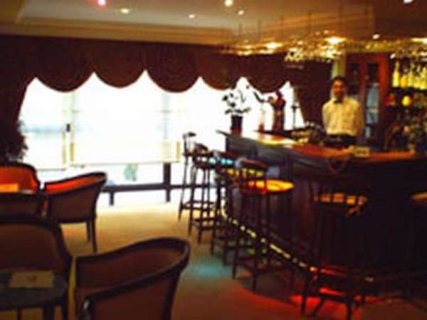 Ankara Baskent Hotel - Ankara
