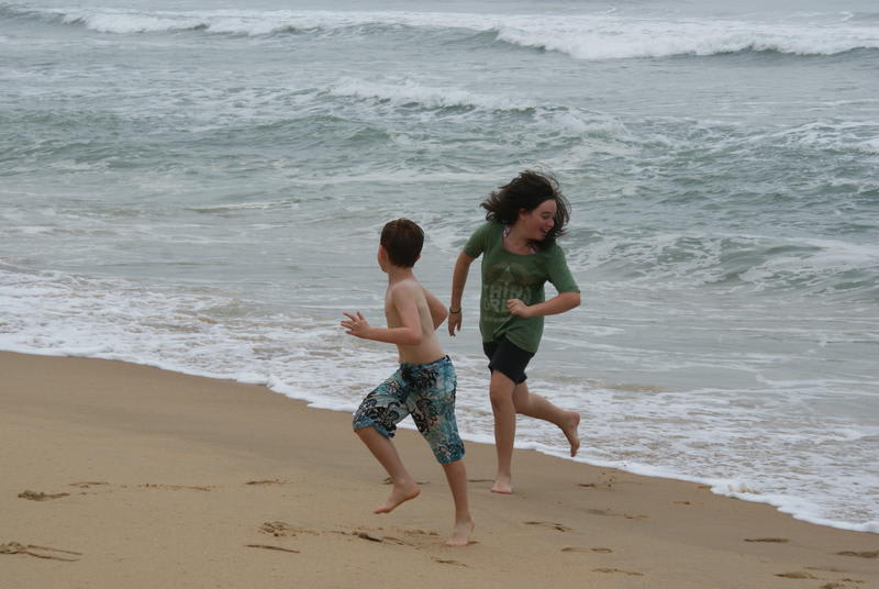 Seashore Homely Stay And Restaurant - Alappuzha