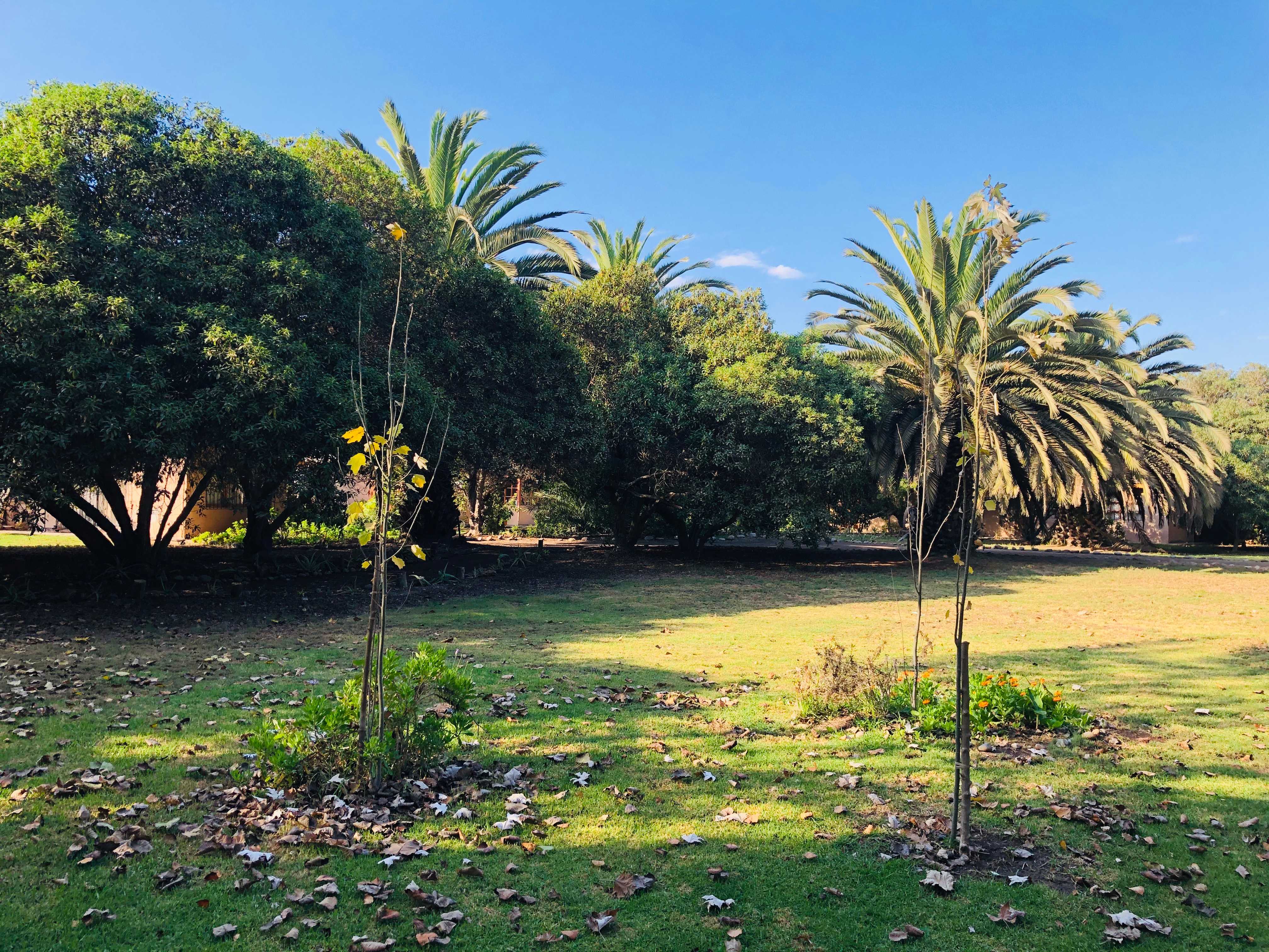 Eco Lodge El Arbol - La Serena