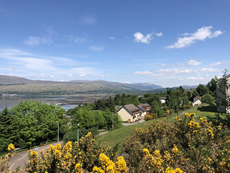 Calluna - Fort William