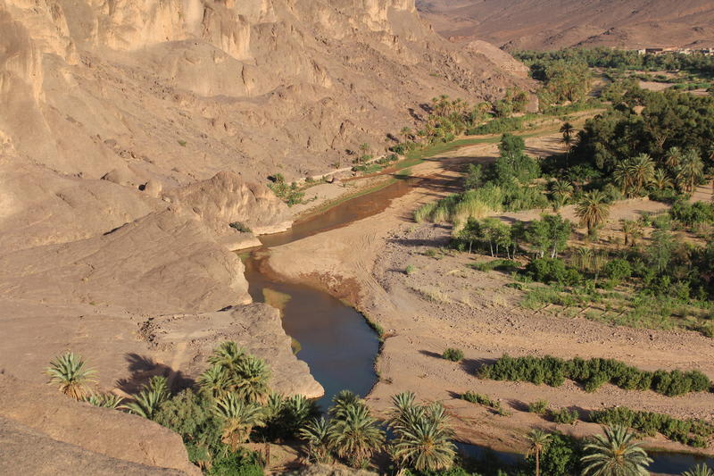 Auberge Restaurant Tissili Oasis De Fint - Maroc