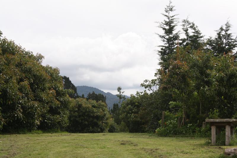 Purple Hen Country Lodge - Bay of Plenty