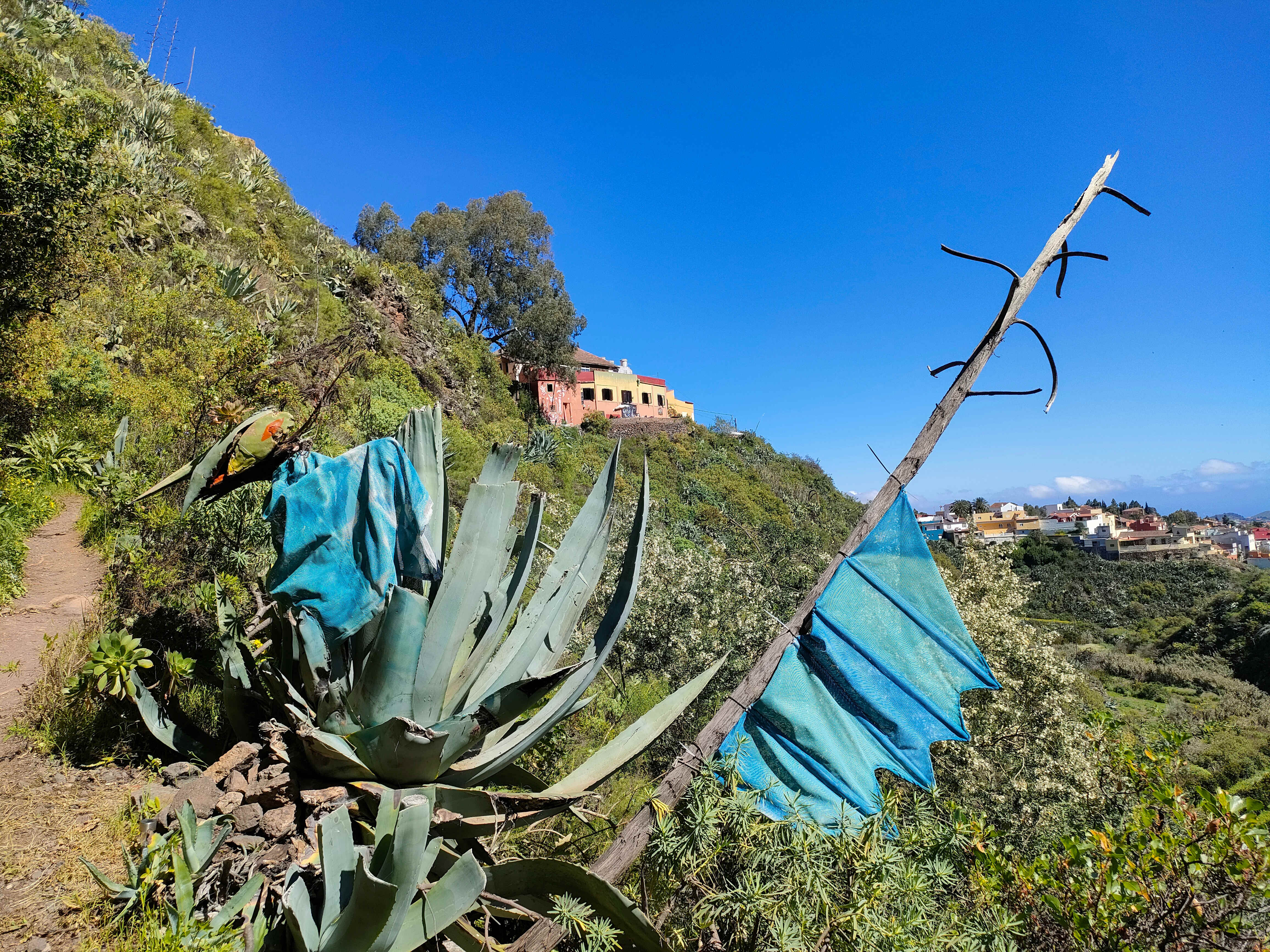 Camino Art House - Canary Islands