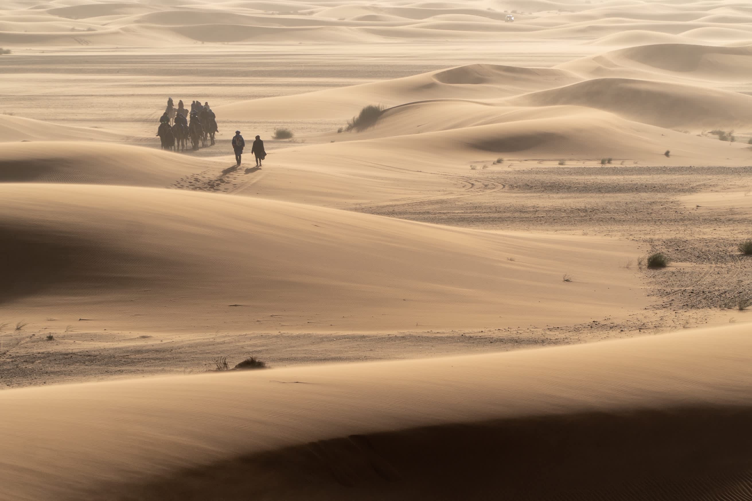 Merzouga Shiny Days Camp - Merzouga