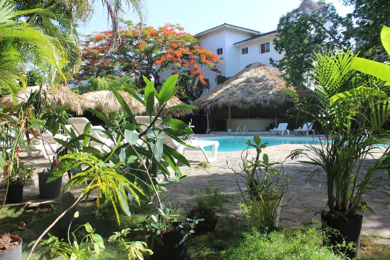 Afreeka Beach Hostel & Music Bar - Dominican Republic