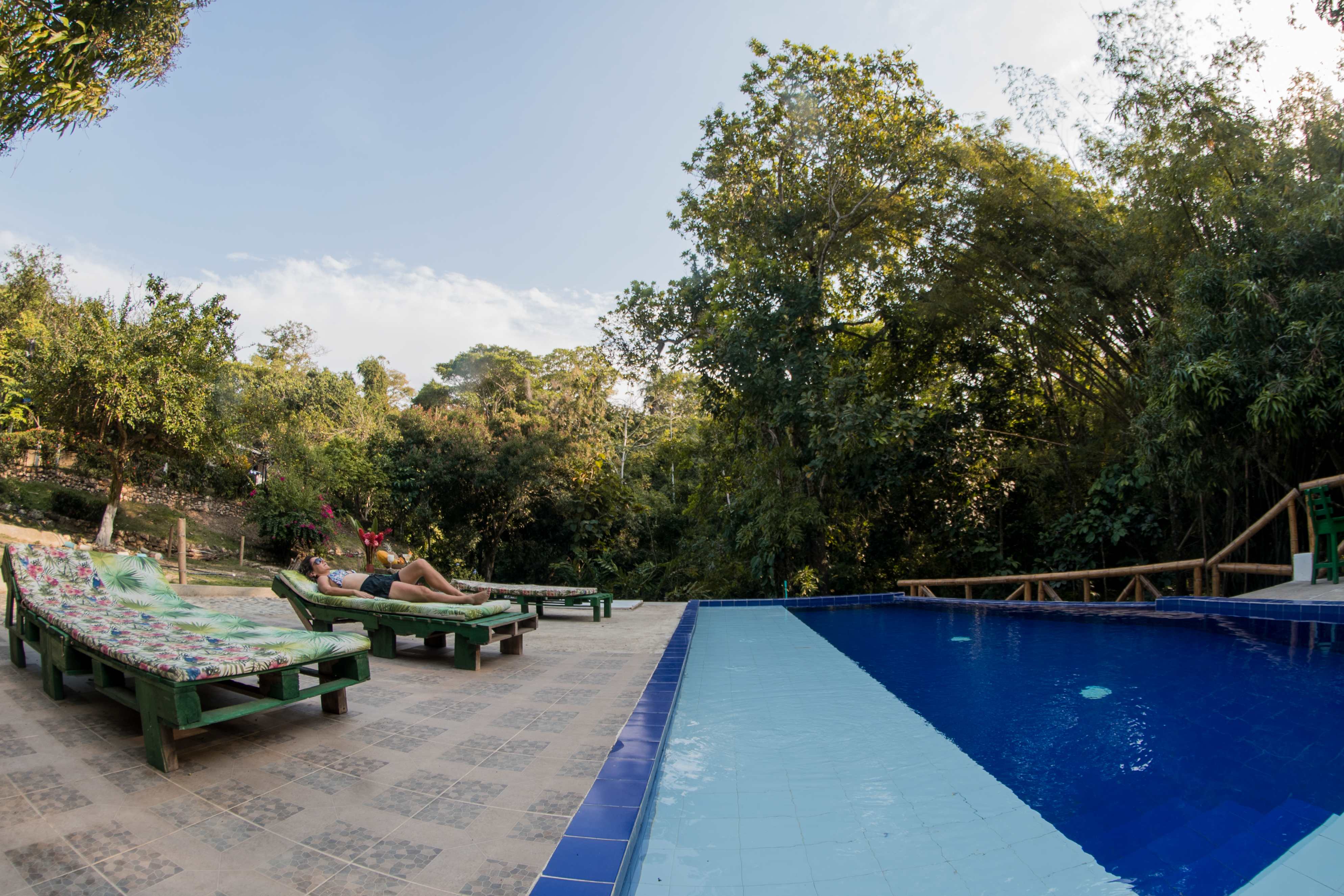 Entre Bosques Tayrona Posada Hostel - 