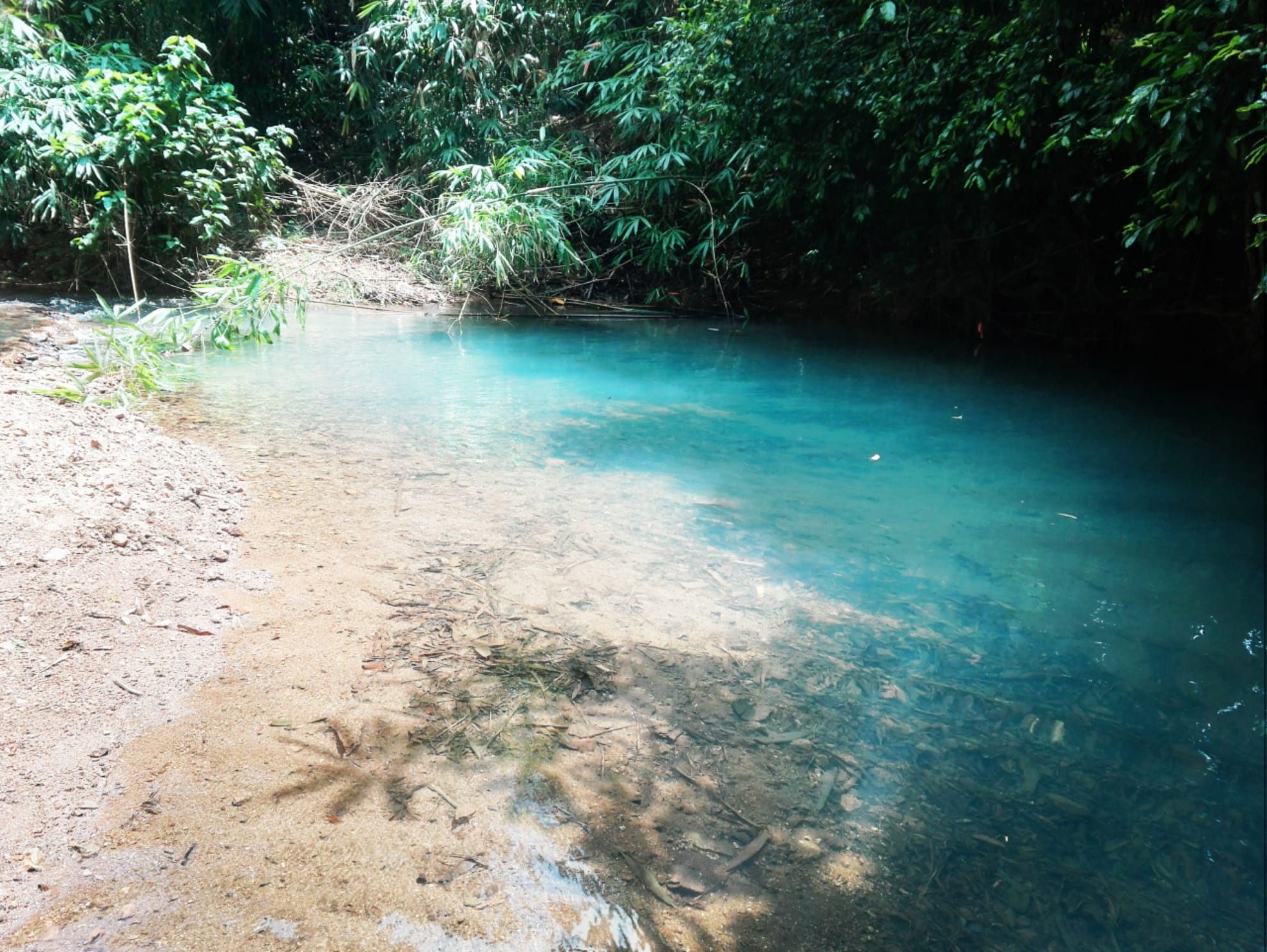 Ecocio Backpackers Hostel - Coron