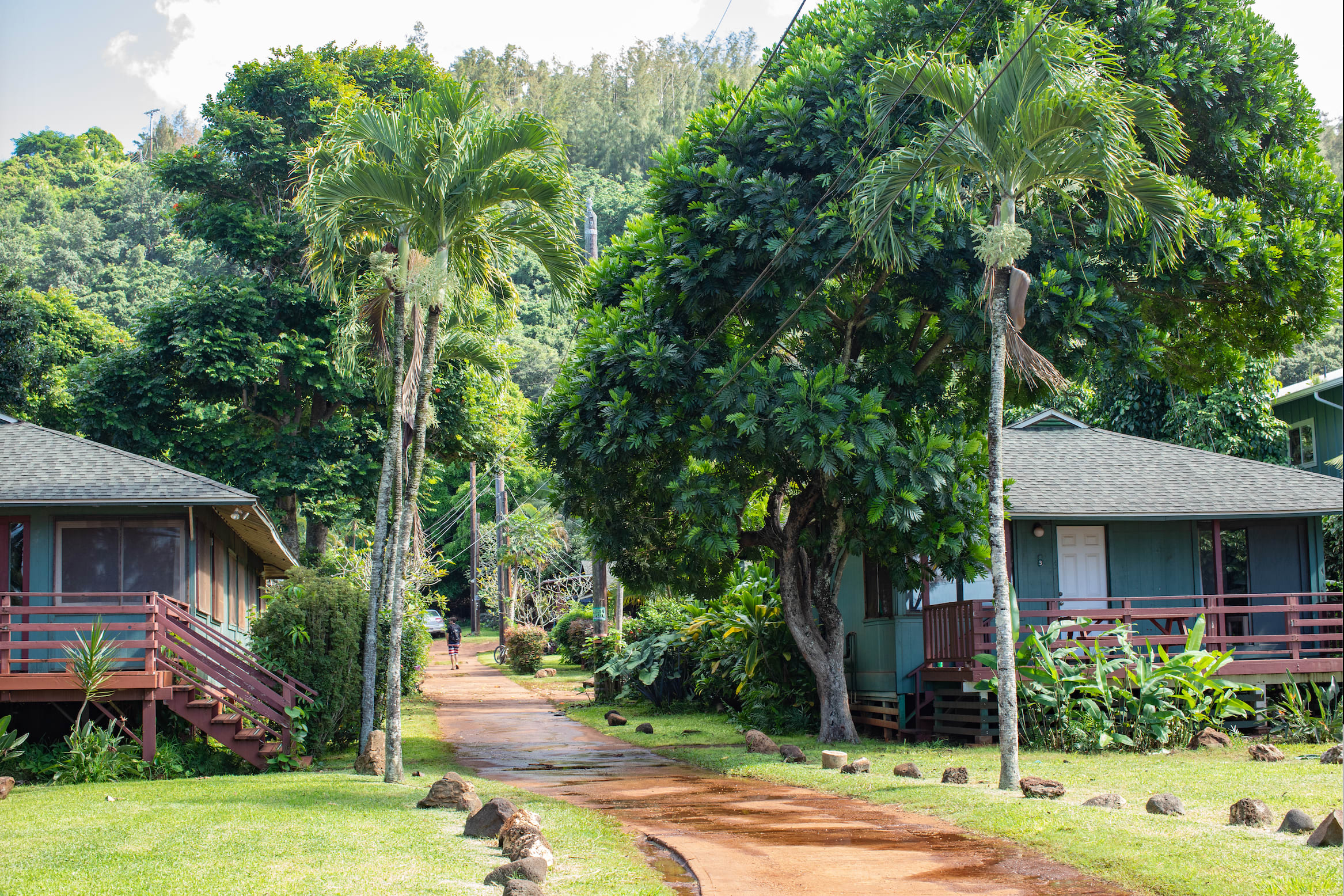 Backpackers - Hawaii