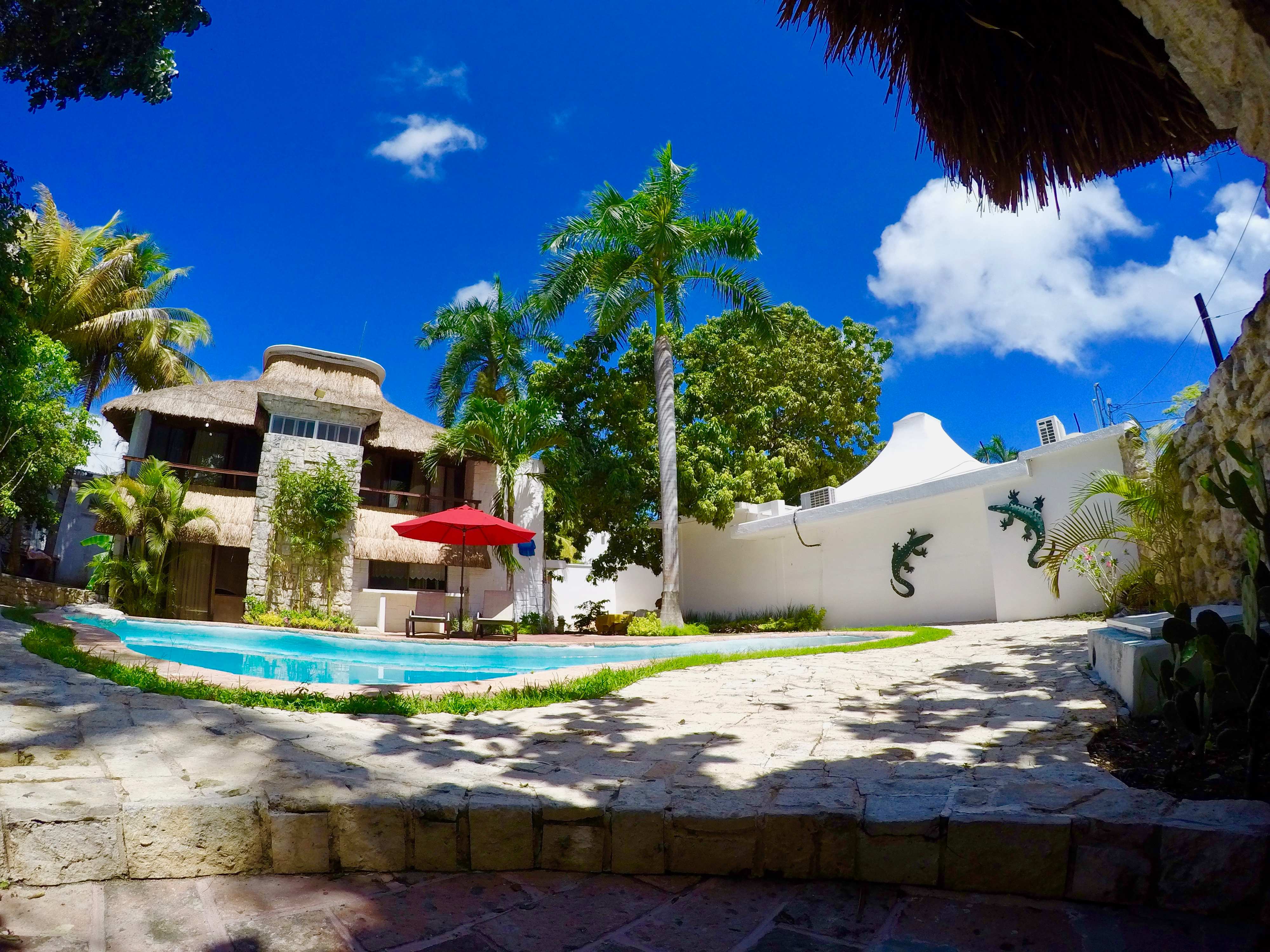 Mango Hostel - Cancún