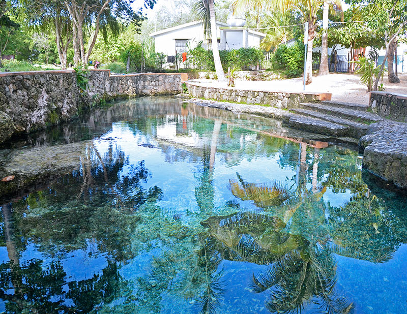 Hs Colonial Rd. - Caribbean