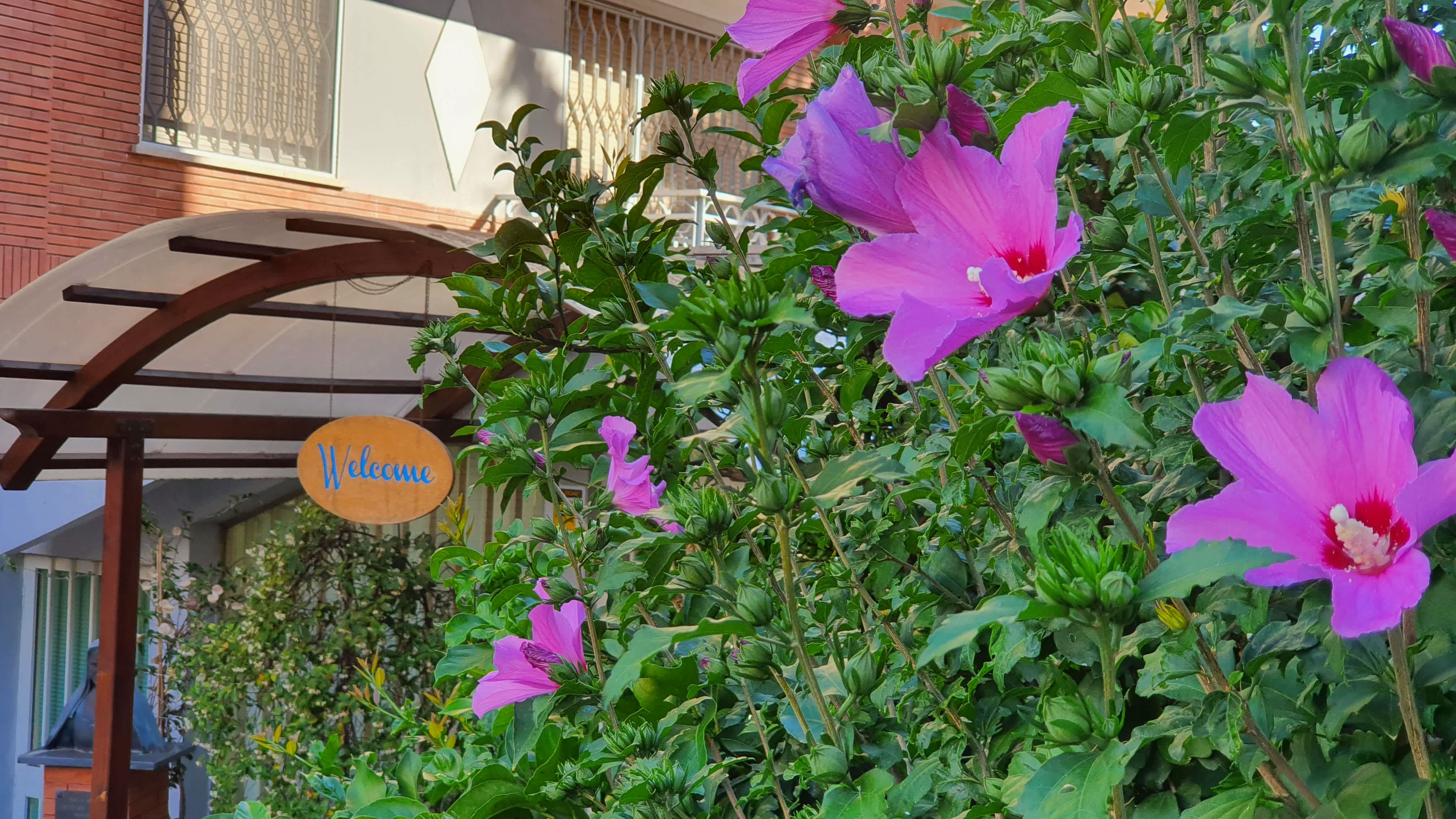 Camera Per Famiglia (Senza Ac) - Rome