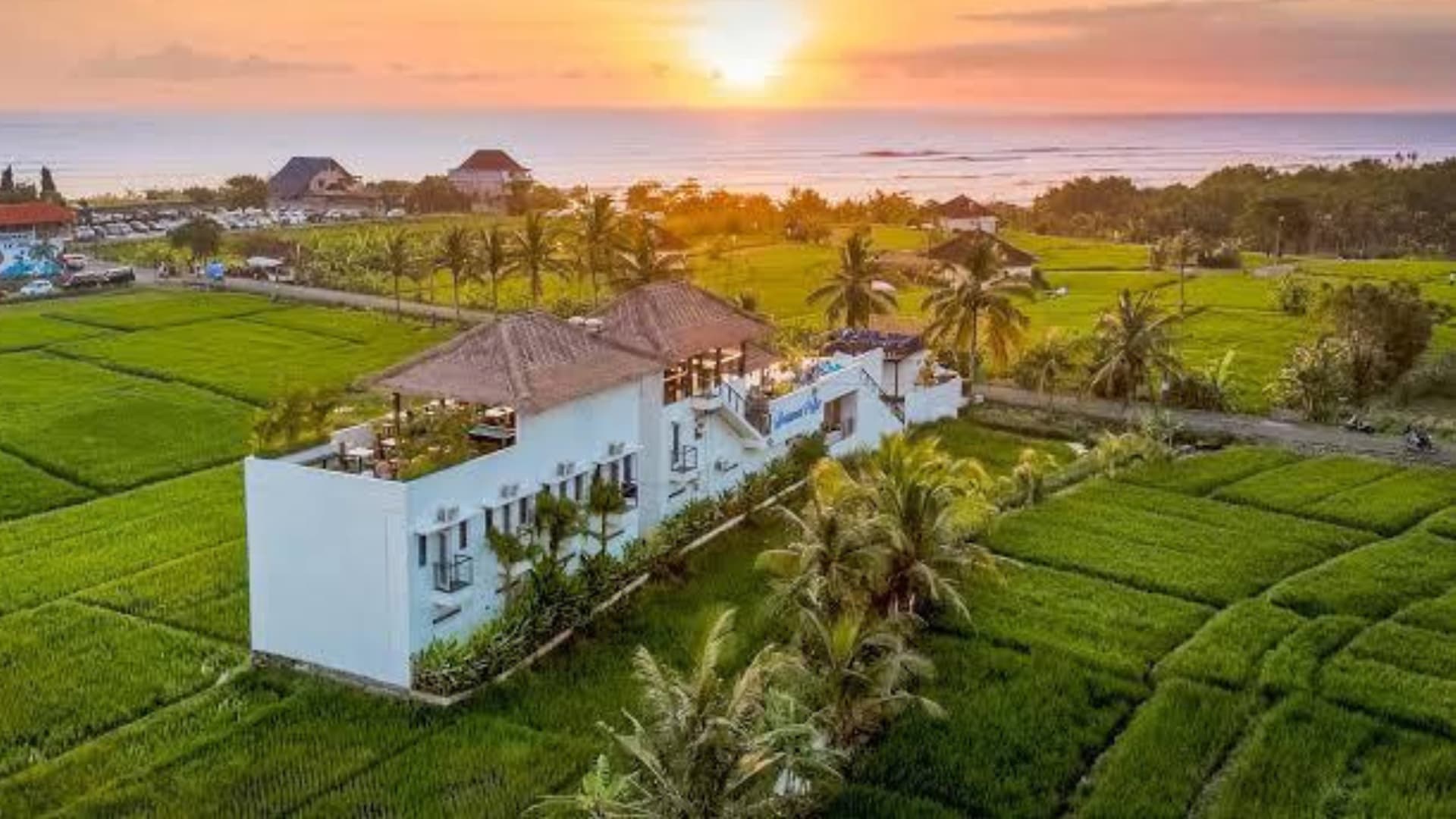 The Swell - Bali