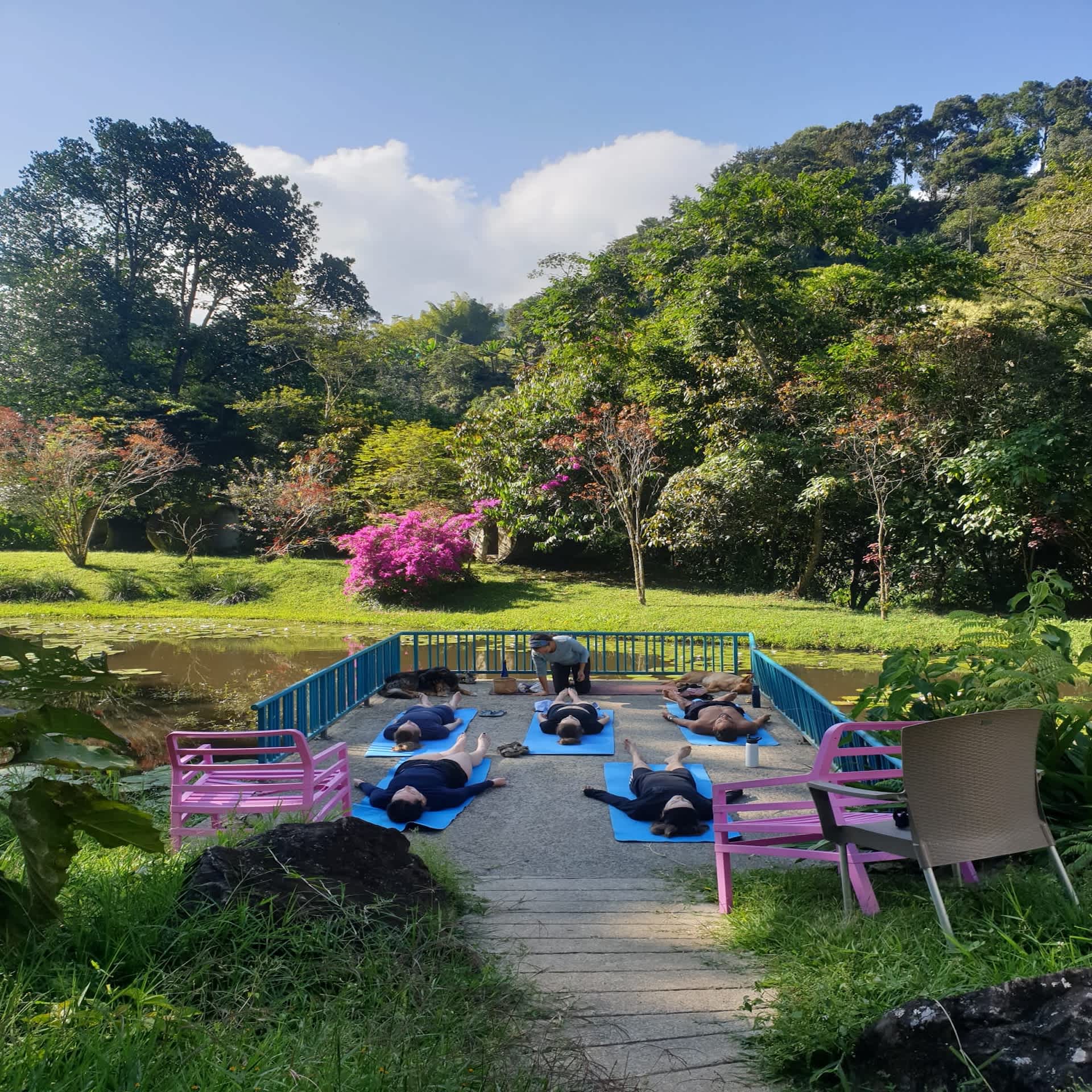 Charco Corazon - Jardín