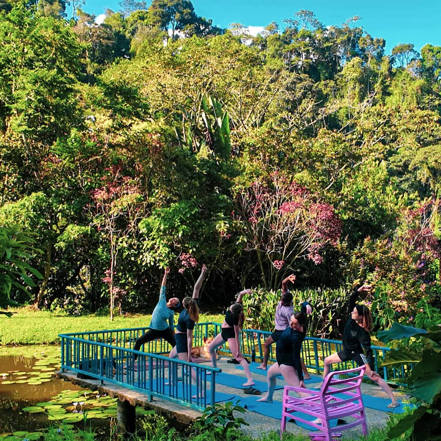 Charco Corazon - Caldas