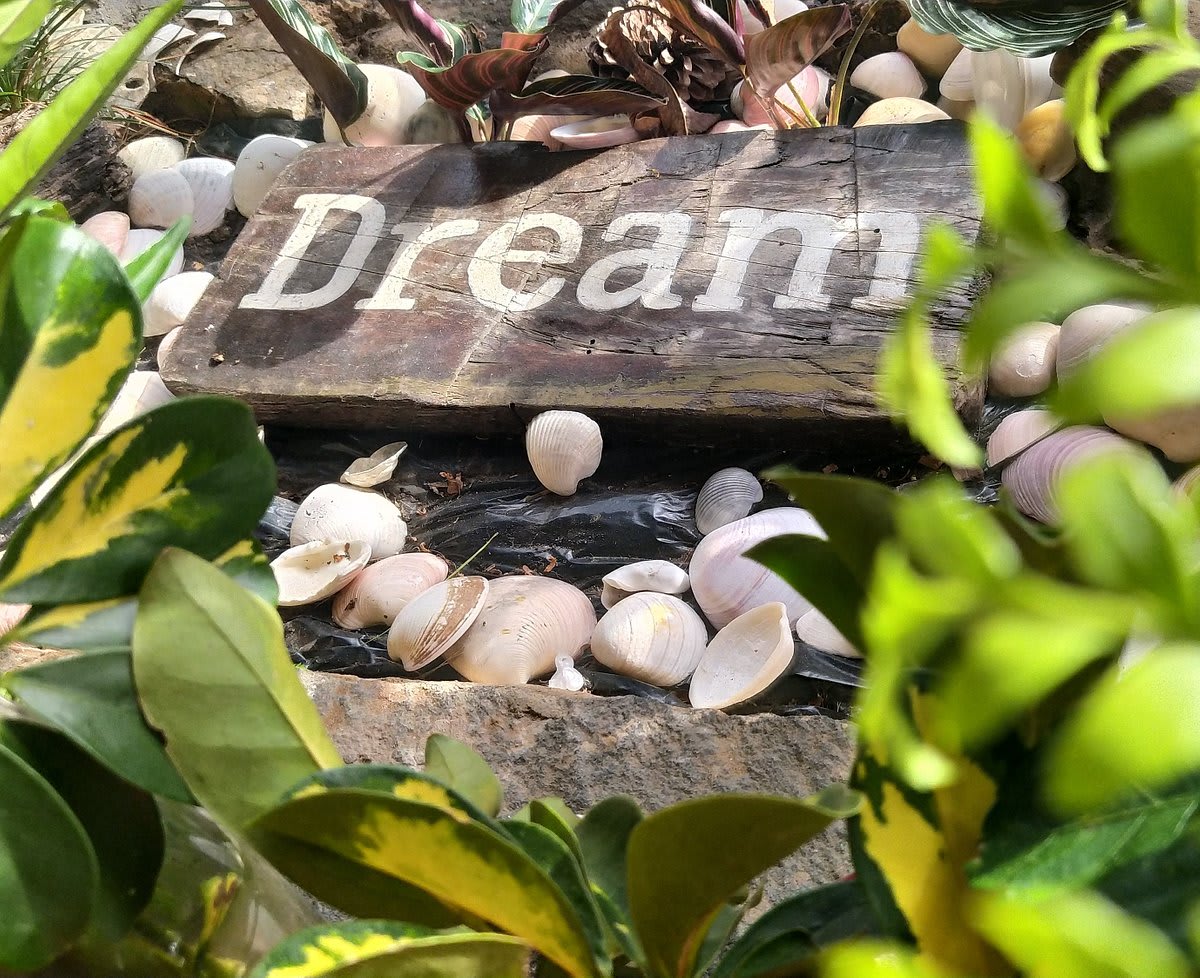 Rosemary Dream - Florianópolis