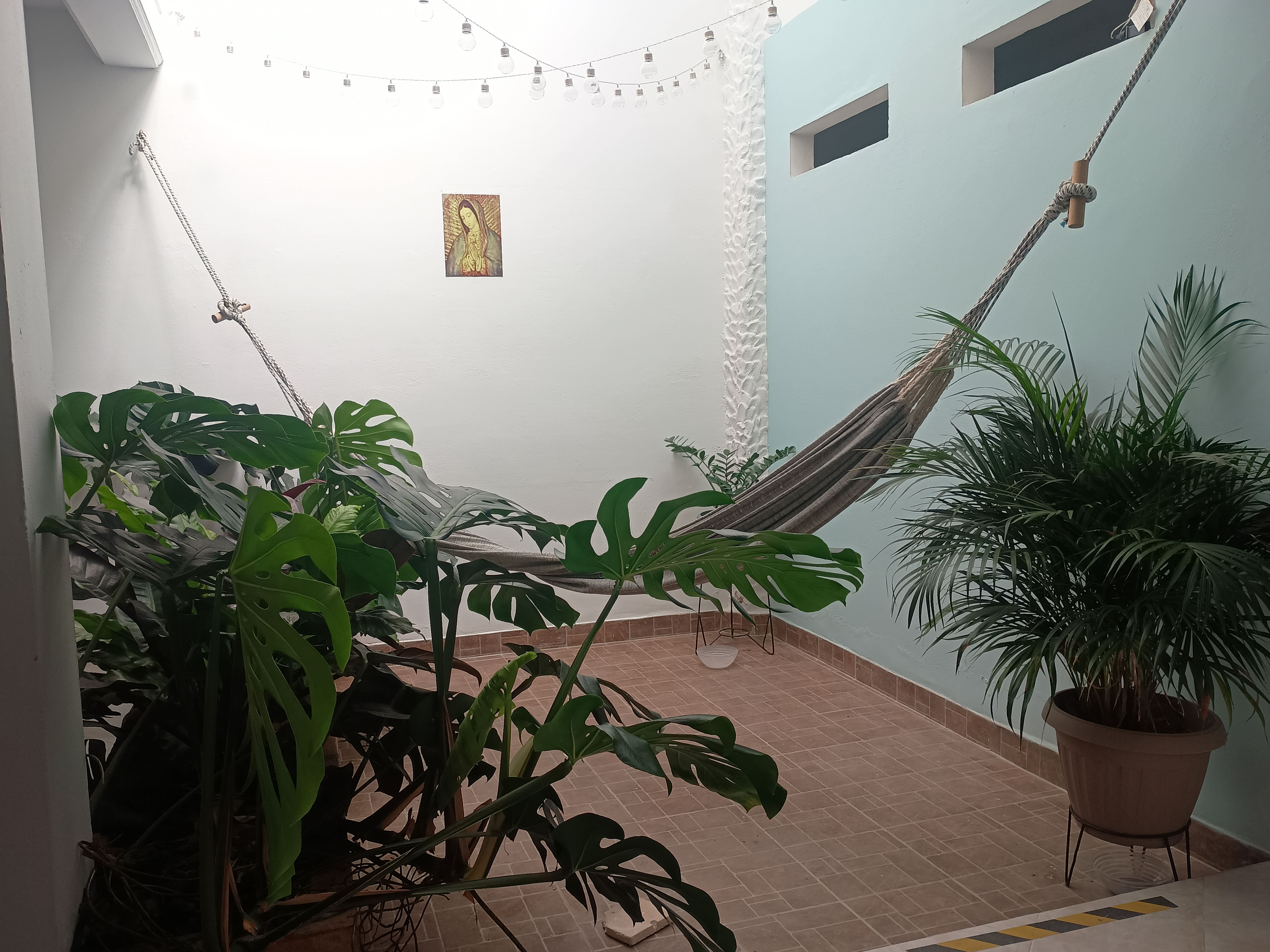 Hostal Naty Luna Sede Alterna - Jardín