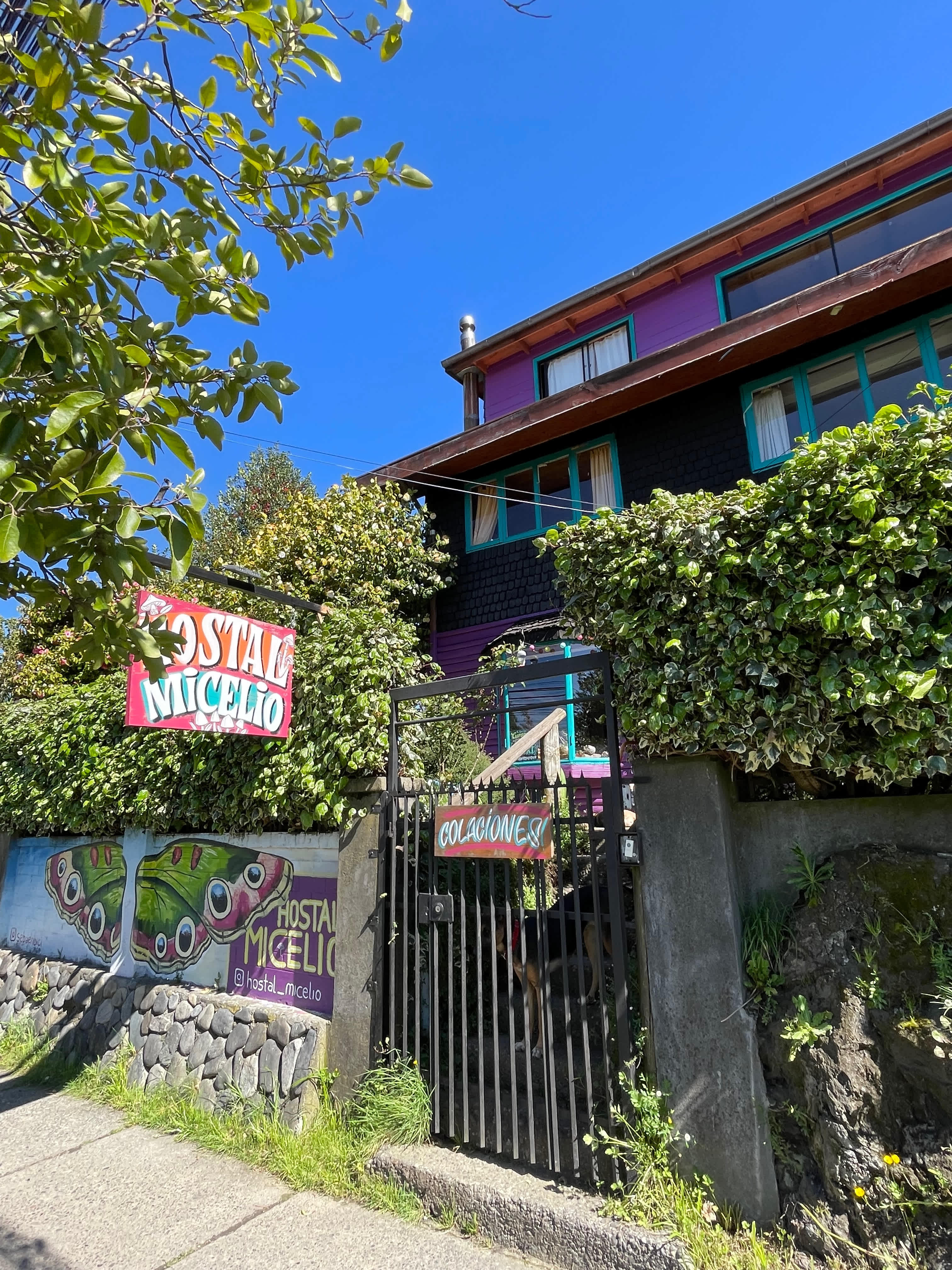 Hostal Micelio - Villarrica