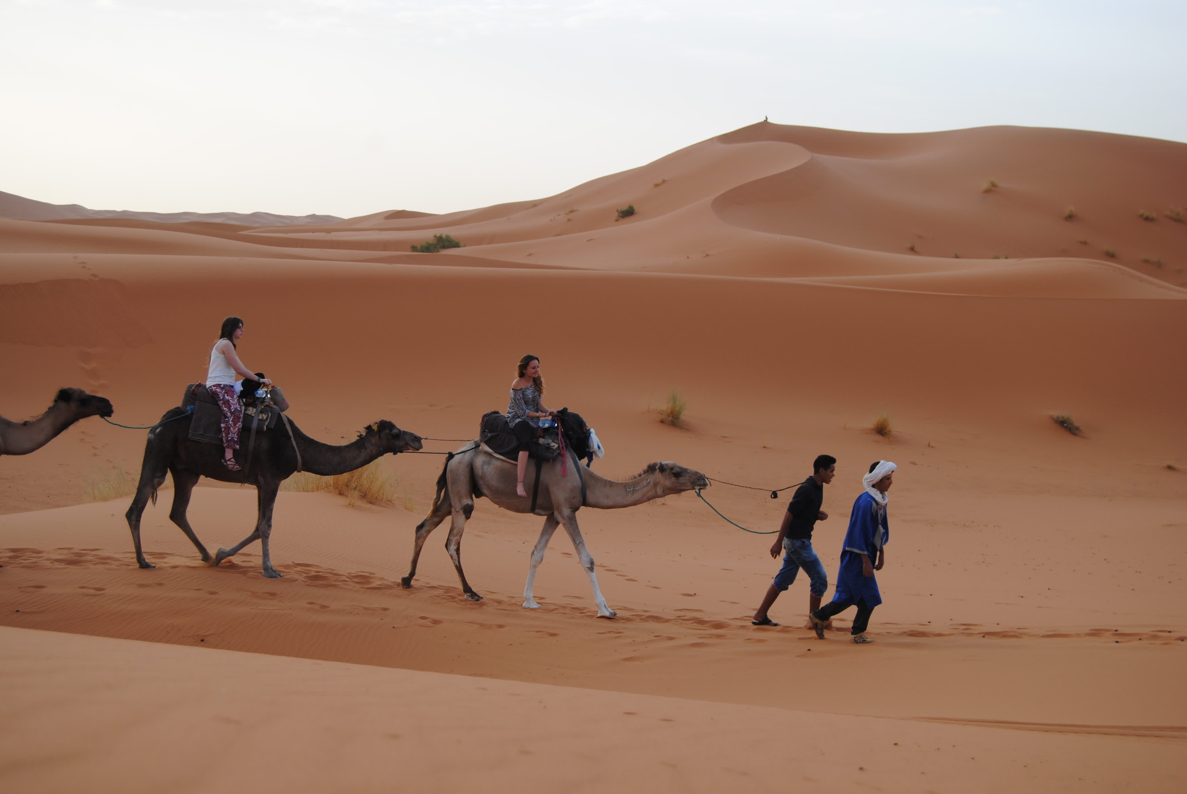 Desert Safari Camp - Maroc