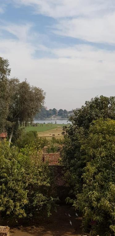 One Love Guesthouse &  Restaurant - Luxor