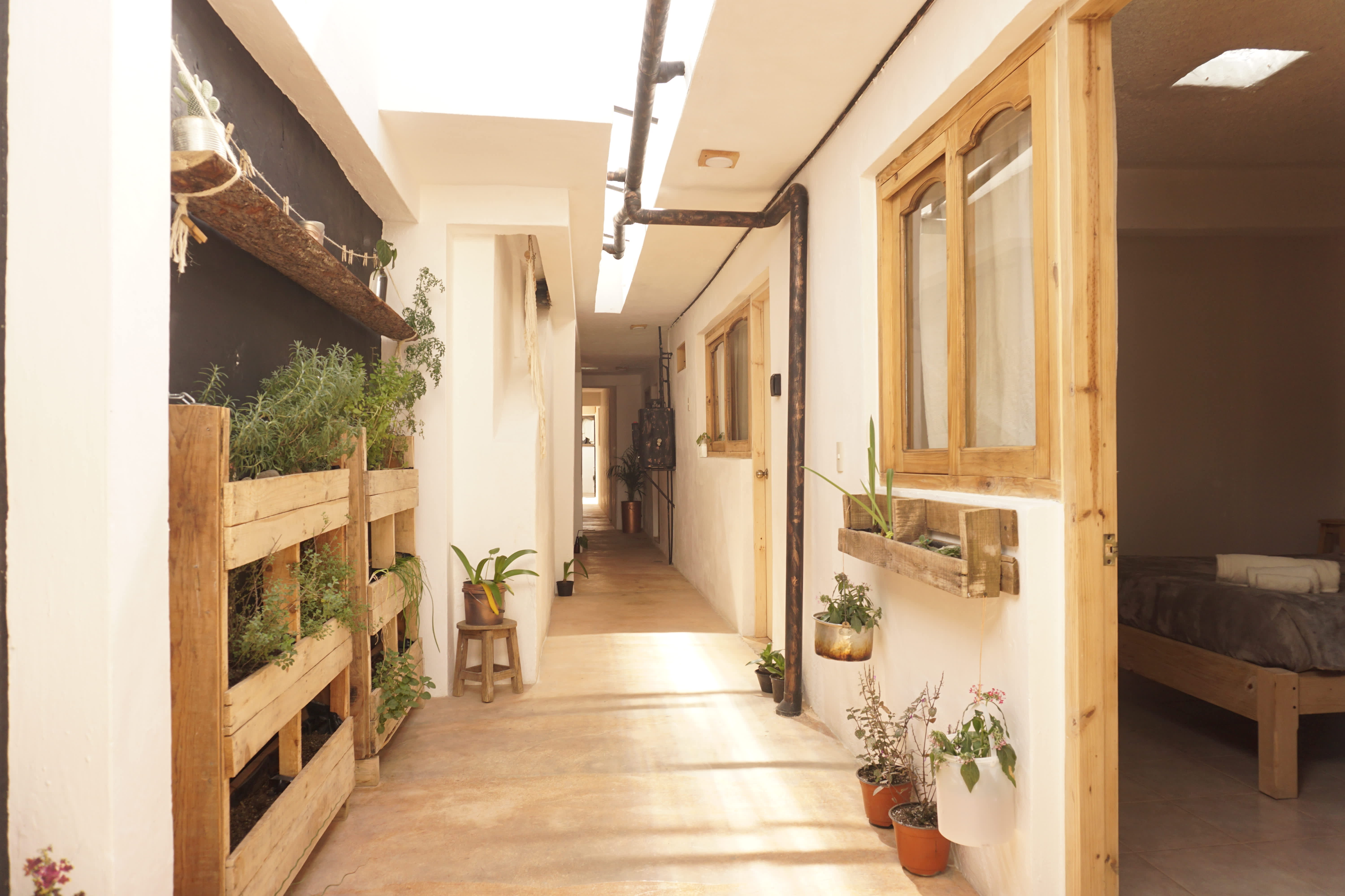 Hostal Boutique 55 - San Cristóbal de las Casas