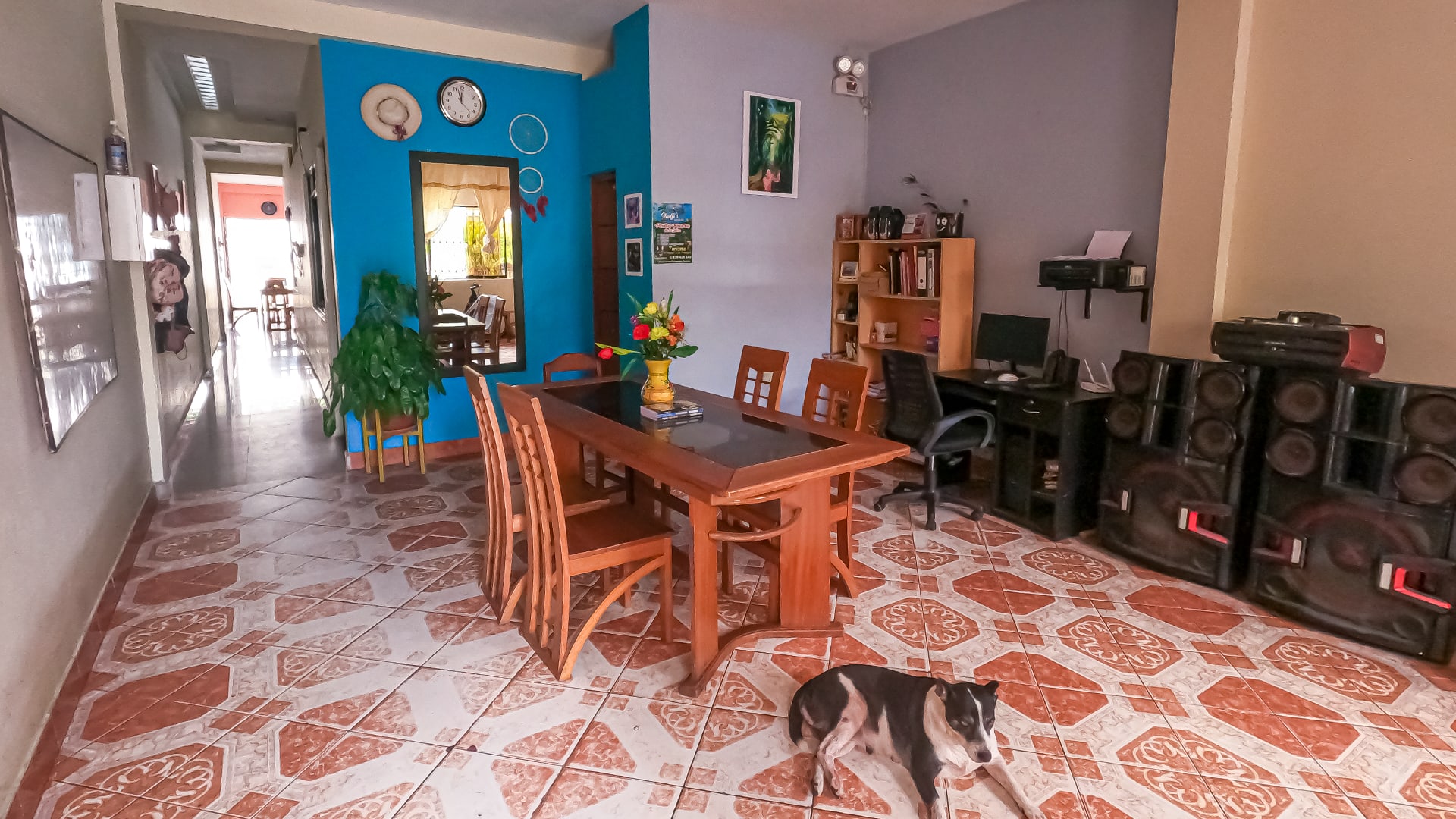 Shoffi's House Backpackers - Tarapoto