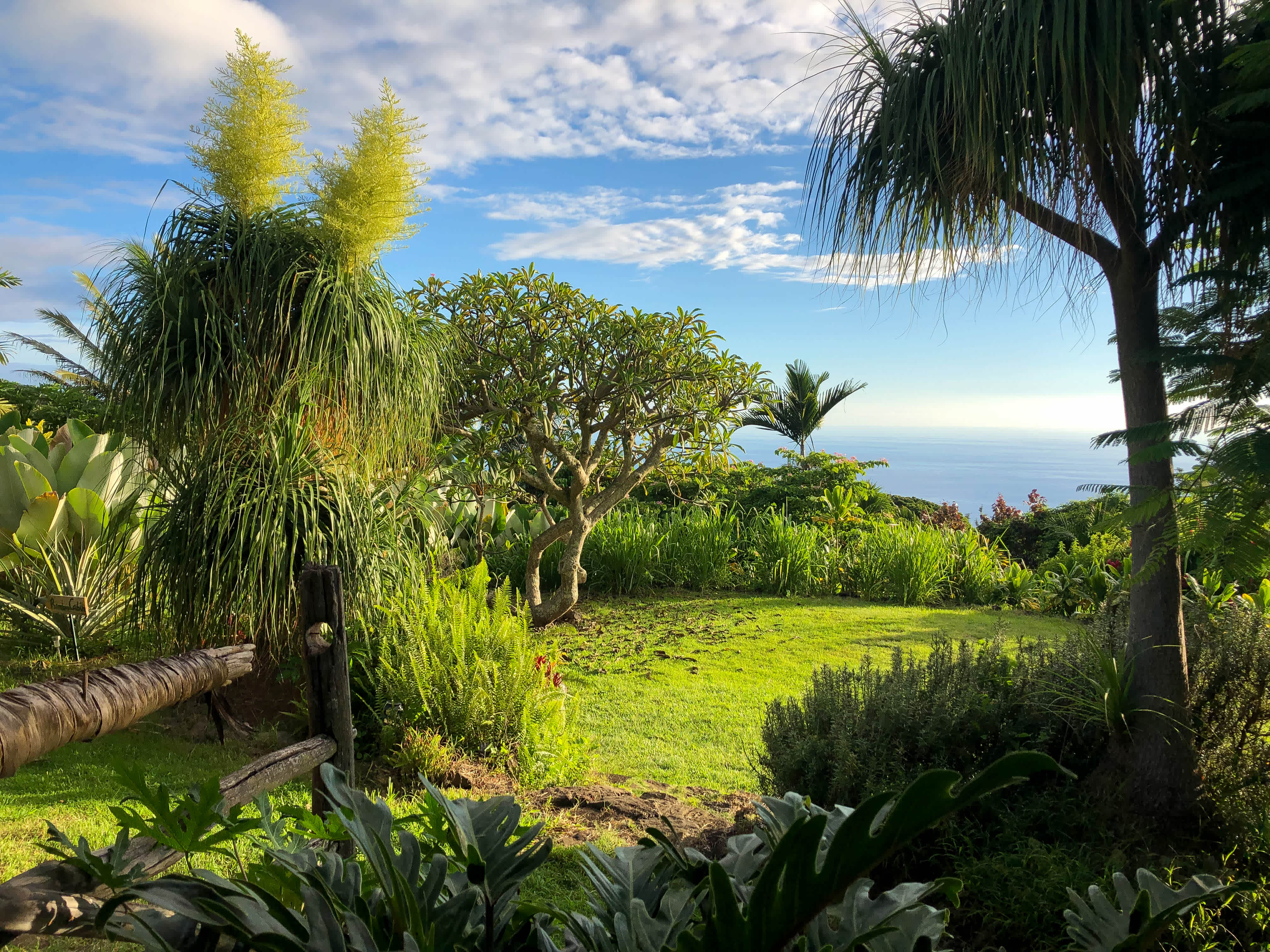 Gingerhill Farm - Hawaii